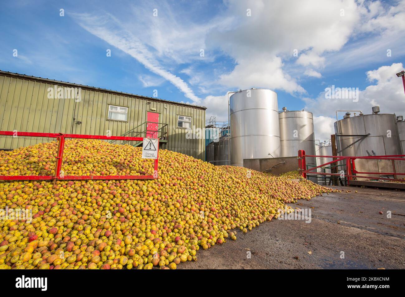 Storage of cider apples at a cider processing plant Stock Photo - Alamy