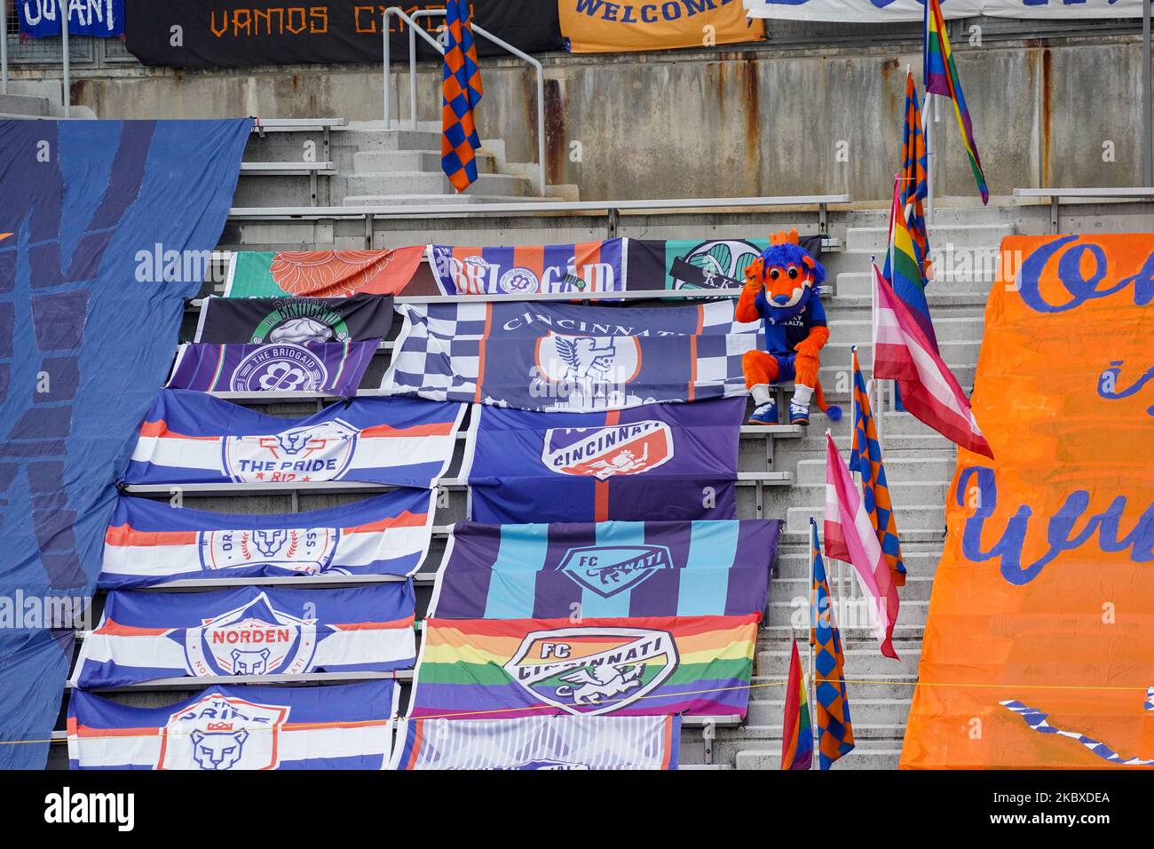 Draw lion hi-res stock photography and images - Alamy