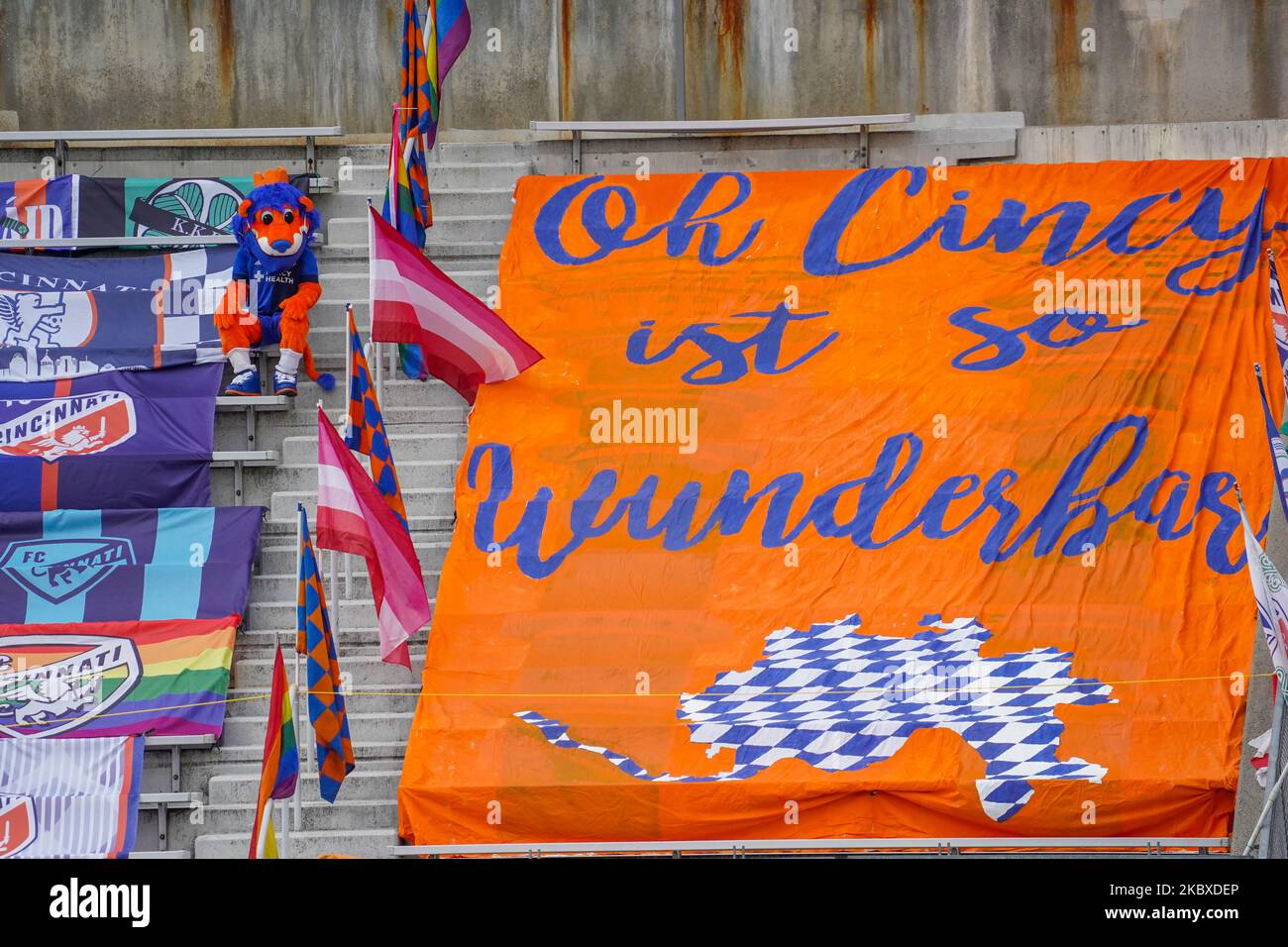 Draw a lion hi-res stock photography and images - Alamy