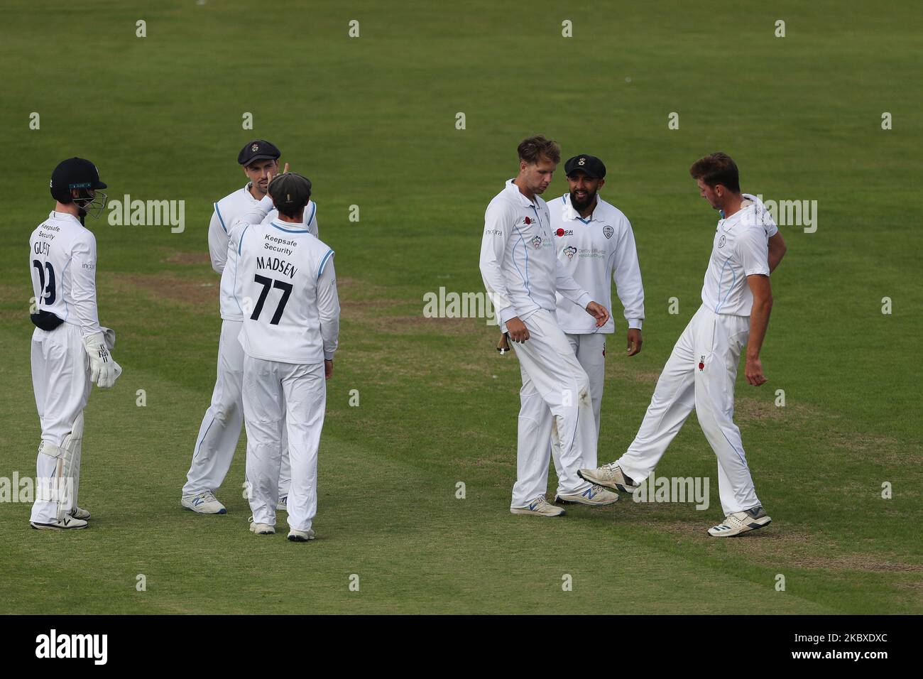 Derbyshire's Matt Critchley celebrates Gareth Harte's wicket with Ben ...
