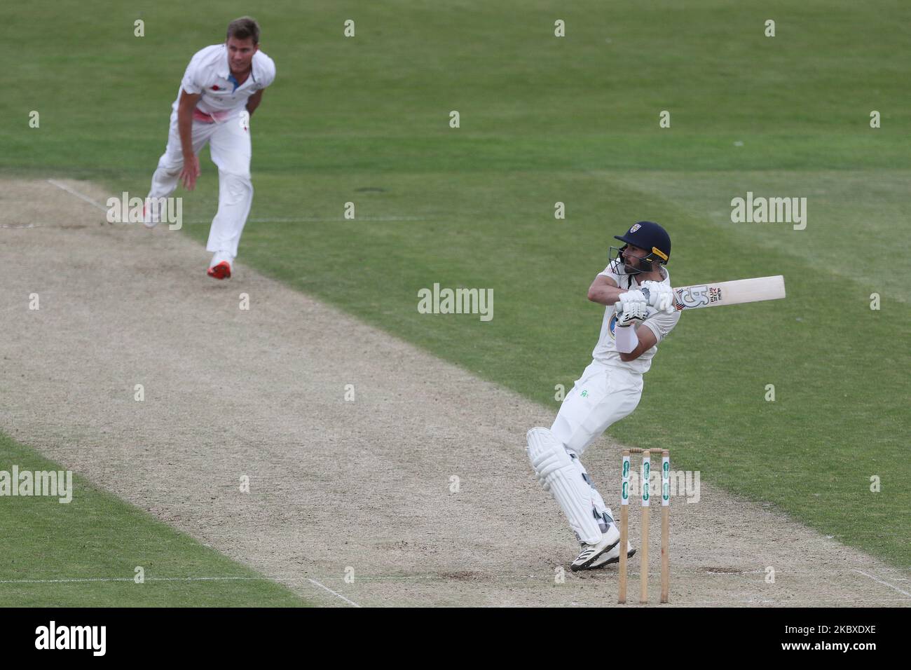 Oulls hi-res stock photography and images - Alamy