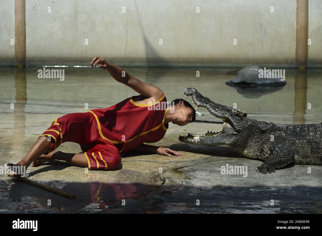 Worlds largest crocodile farm hi-res stock photography and images - Alamy