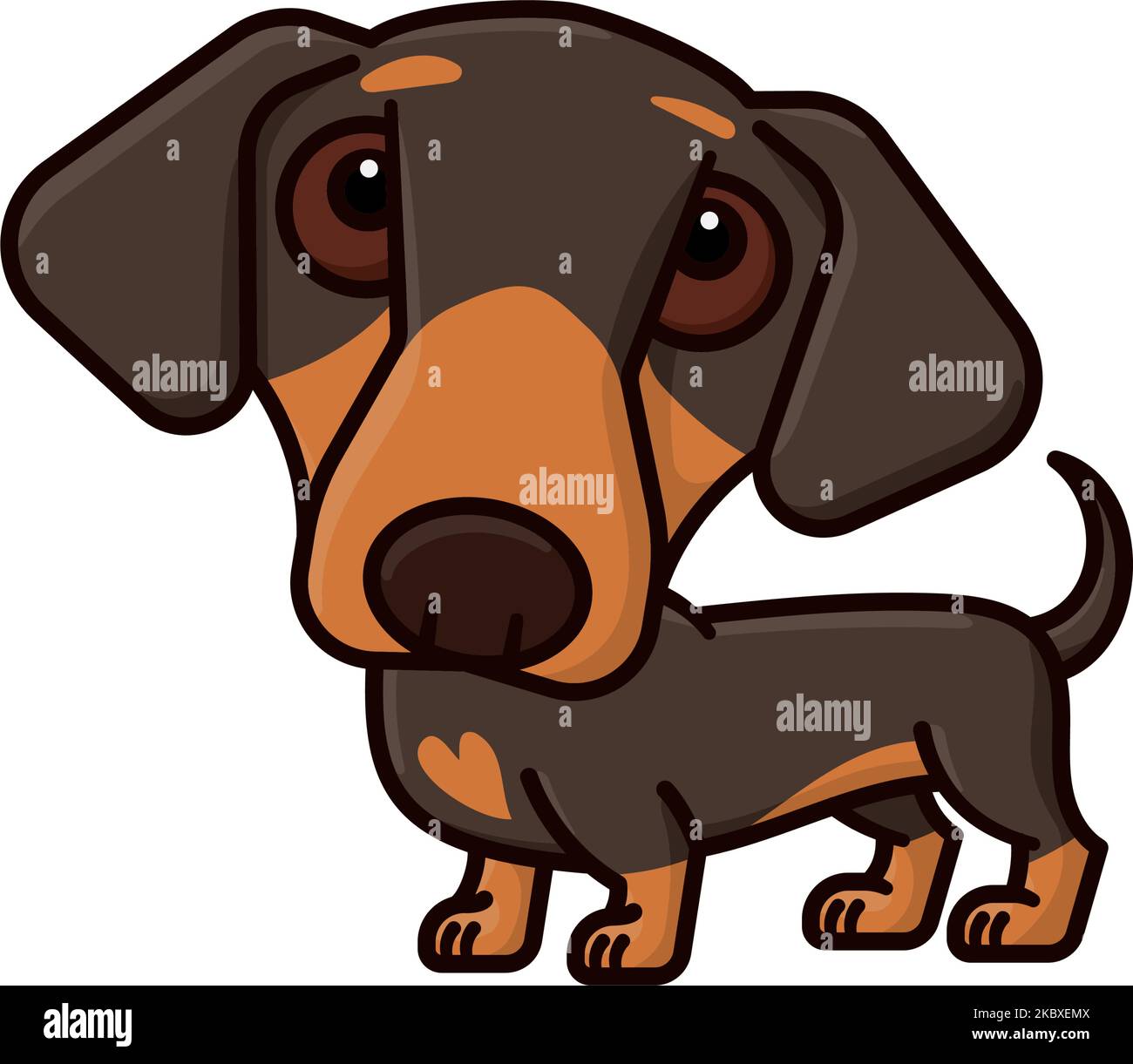Cute Dachshund isolated cartoon vector illustration for Bobblehead Day ...