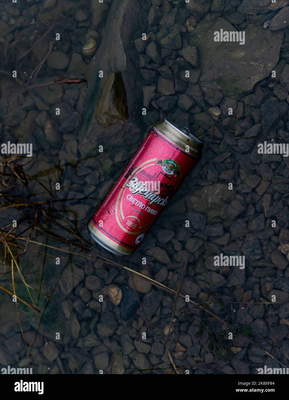 Belgrade, Serbia - November 02, 2022: Beer can discarded in the river ...