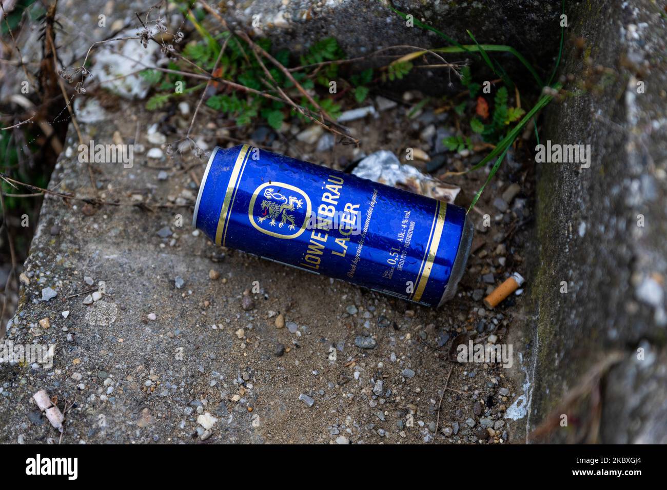 Belgrade, Serbia - November 02, 2022: Löwenbräu beer can discarded in ...