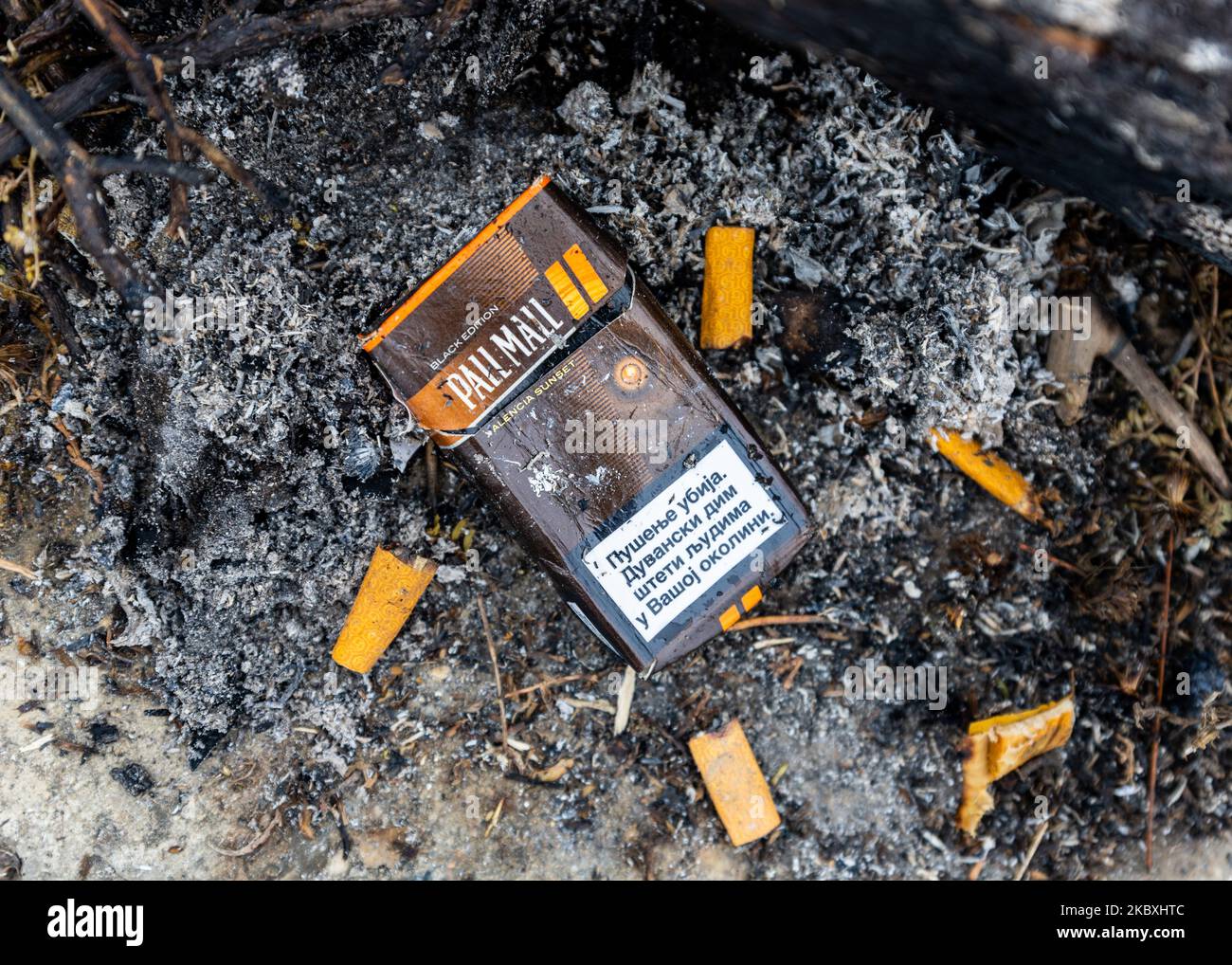 Belgrade, Serbia - November 02, 2022: Pall Mall cigarette pack and ...