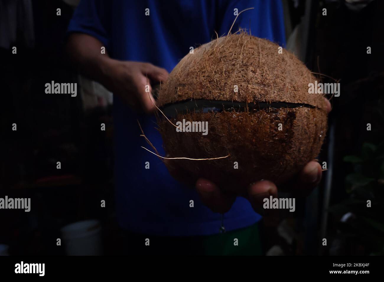 A resident in Antipolo City breaking the shell of coconut, August 26 ...