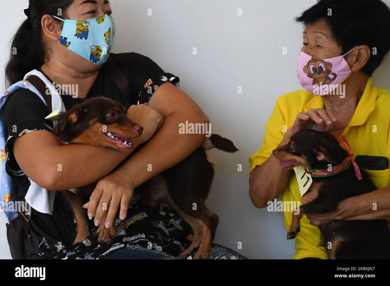 Dog owners wearing face masks take their dogs for neutering at The ...