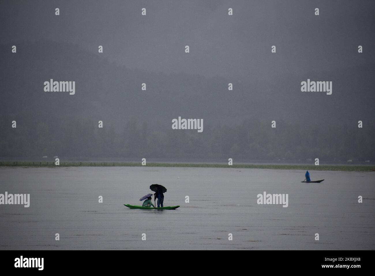 Boatmen row their boats as it rains in Srinagar, Kashmir, India on ...