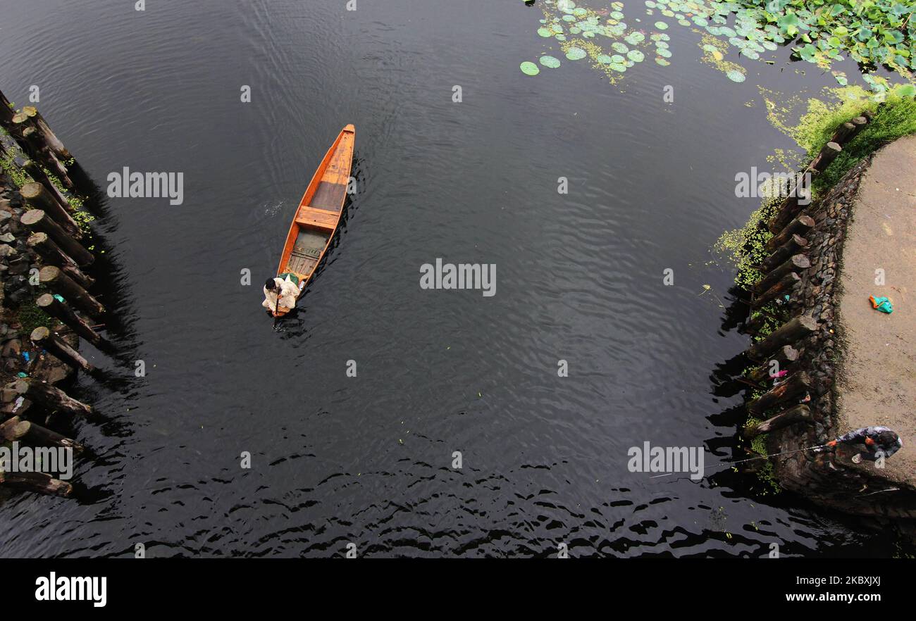 Long lashed hi-res stock photography and images - Alamy