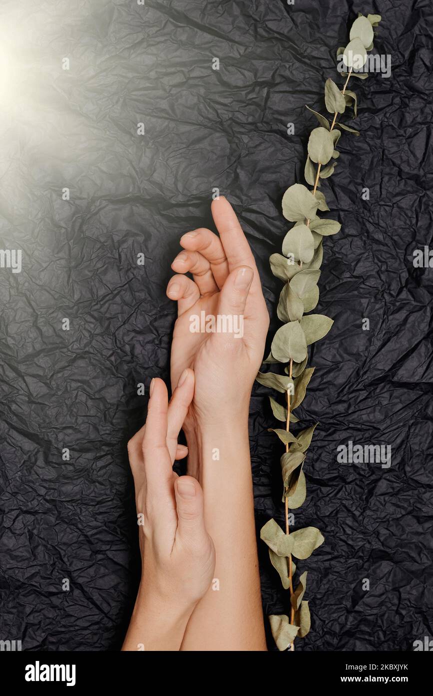 Beauty hands woman with flowers on background. Skin care cosmetics ...