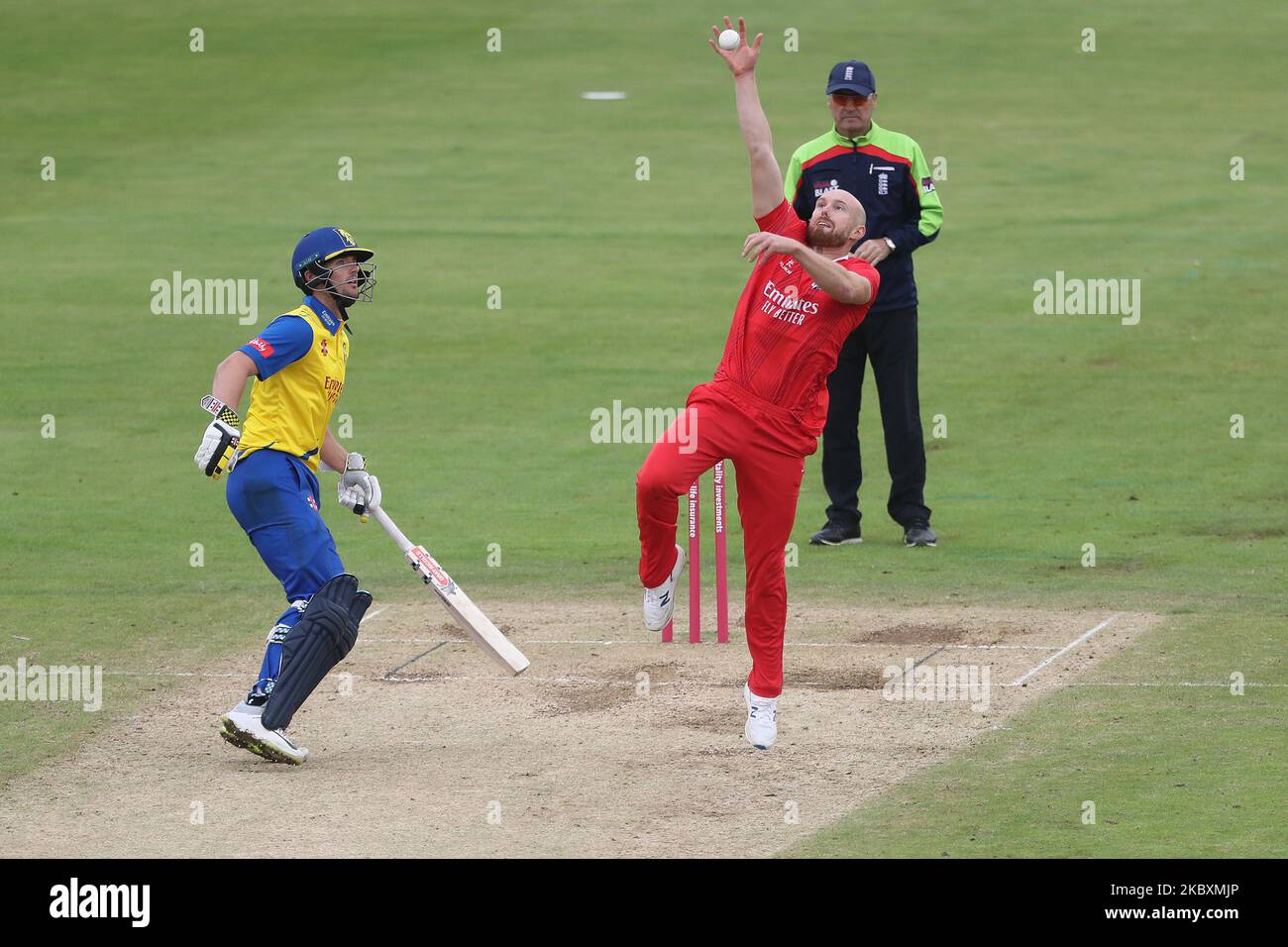 Cricket lamb hi-res stock photography and images - Alamy