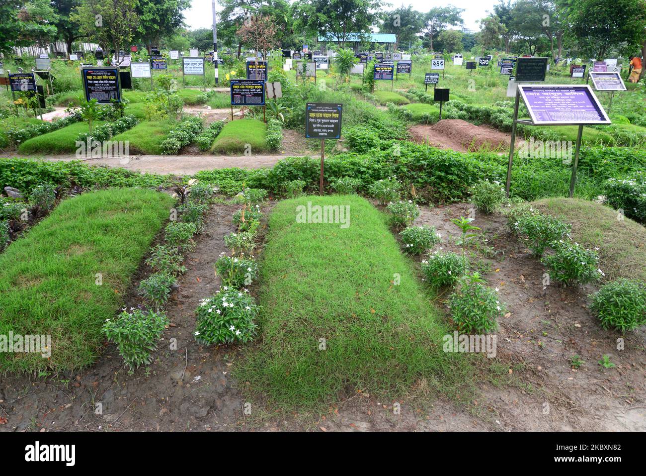 A general view of a graveyard for dedicated of covid-19 victims in ...