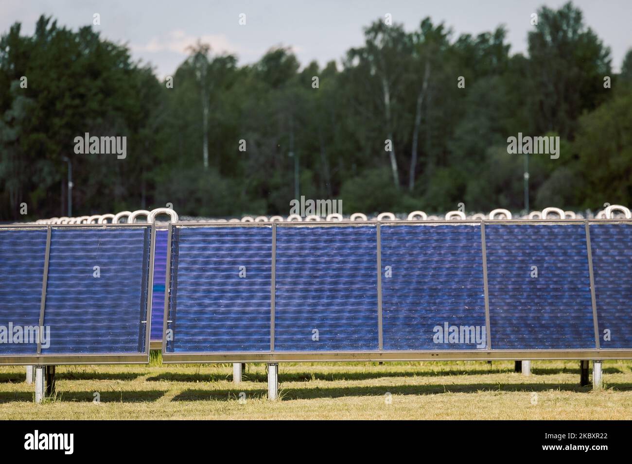 A view of solar energy collector panels on the background of trees ...