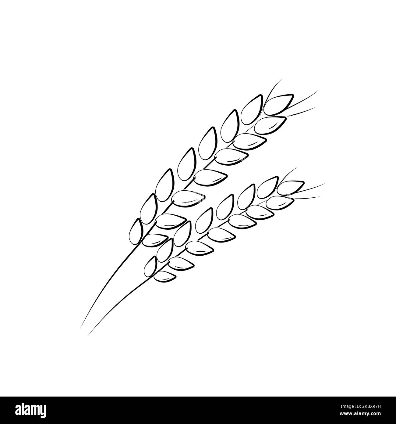 Spike image Black and White Stock Photos & Images - Alamy