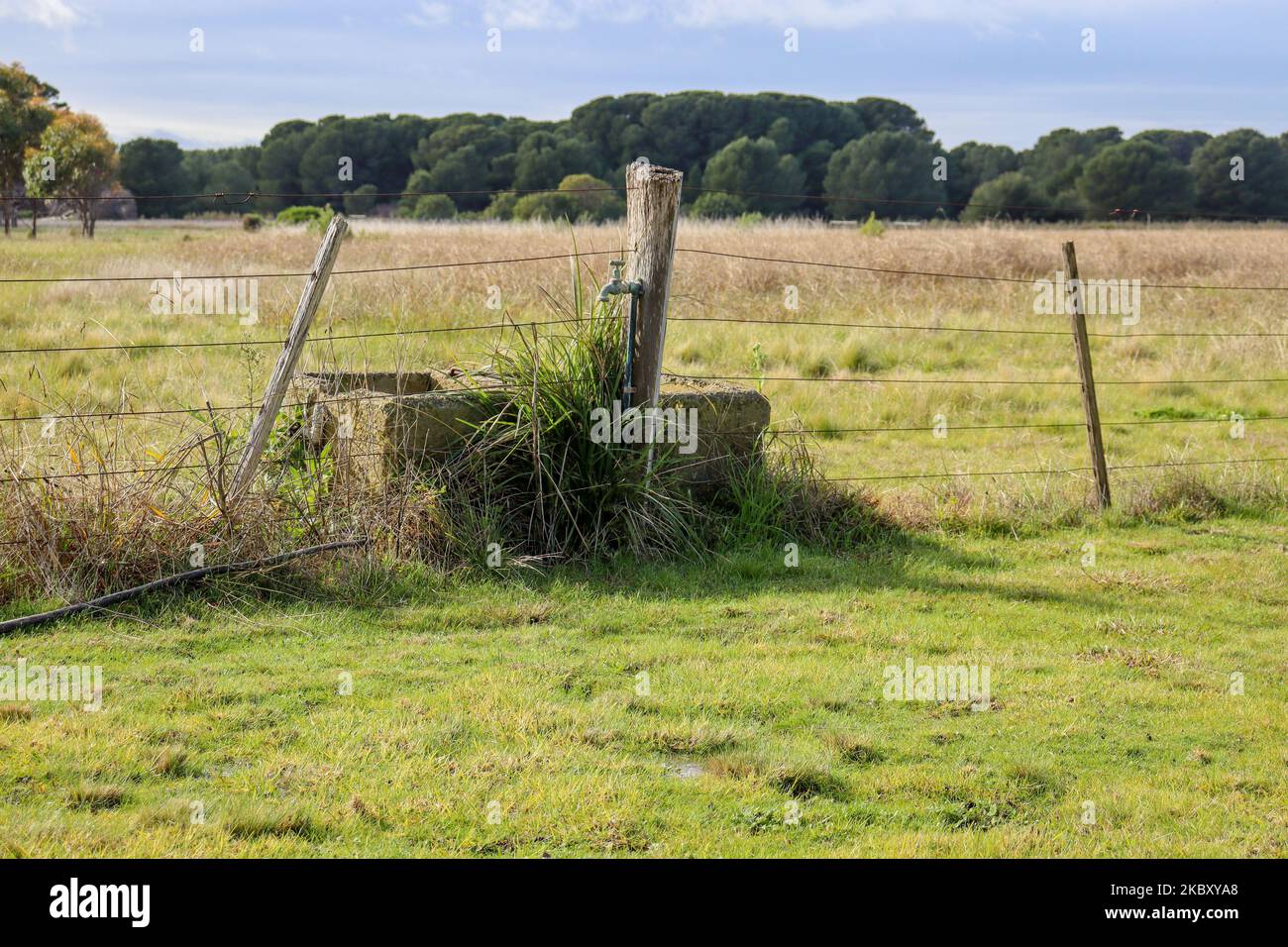 Green rural landscape with a metal fence in the field and old horse ...