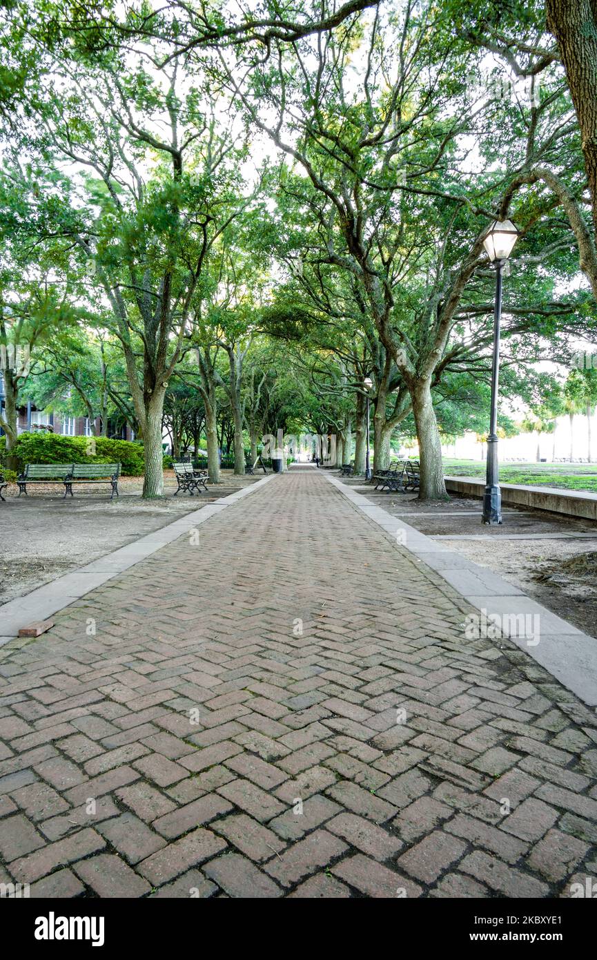 A stone floor path with trees in Joe Riley Waterfront Park, Charleston ...
