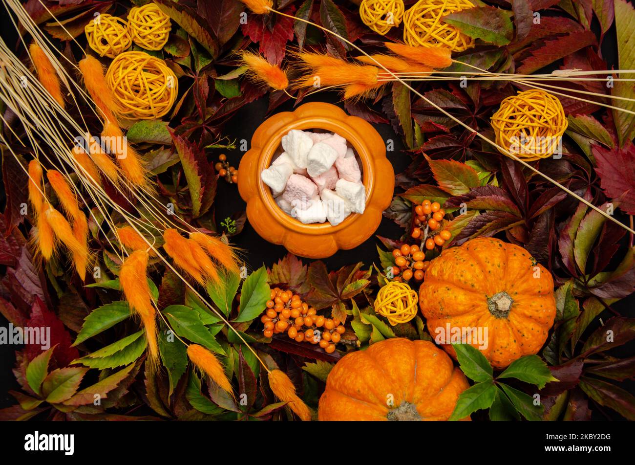 Thanksgiving filled Autumn festive table background with pumpkin top ...