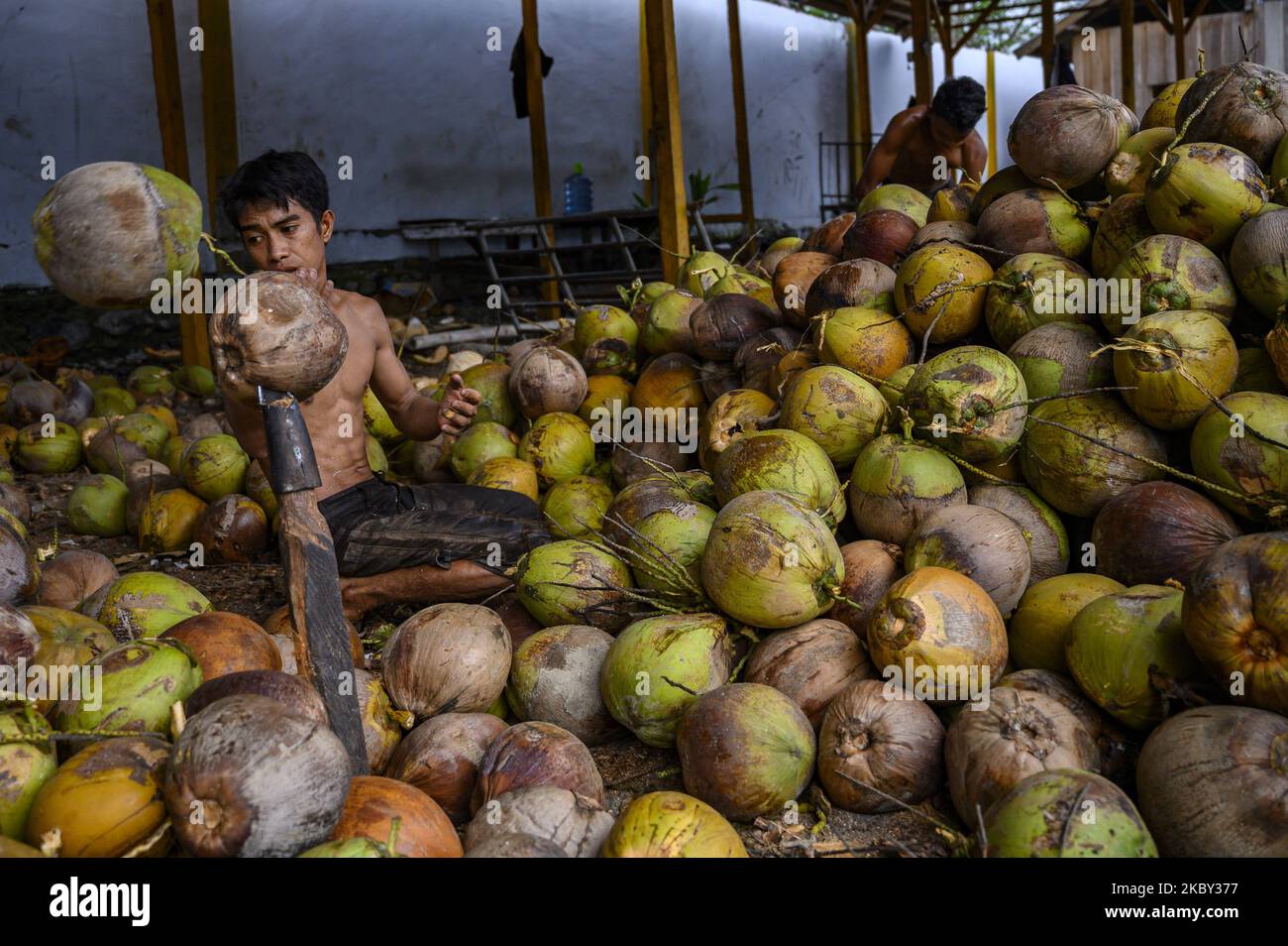 Largest coconut producer hi-res stock photography and images - Alamy