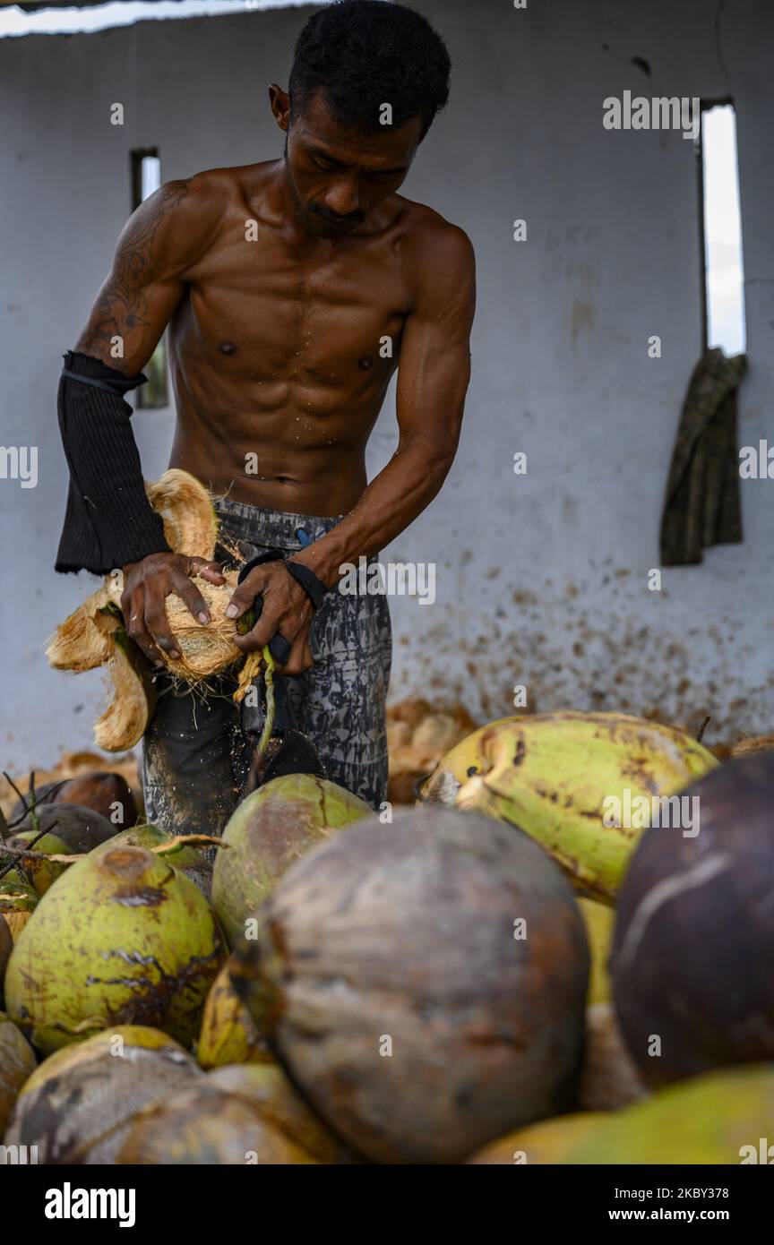 Copra processing hi-res stock photography and images - Alamy