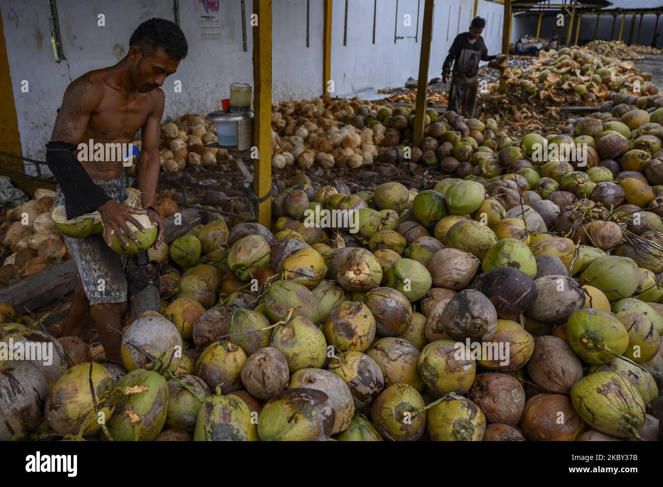 Workers separate coir hi-res stock photography and images - Alamy