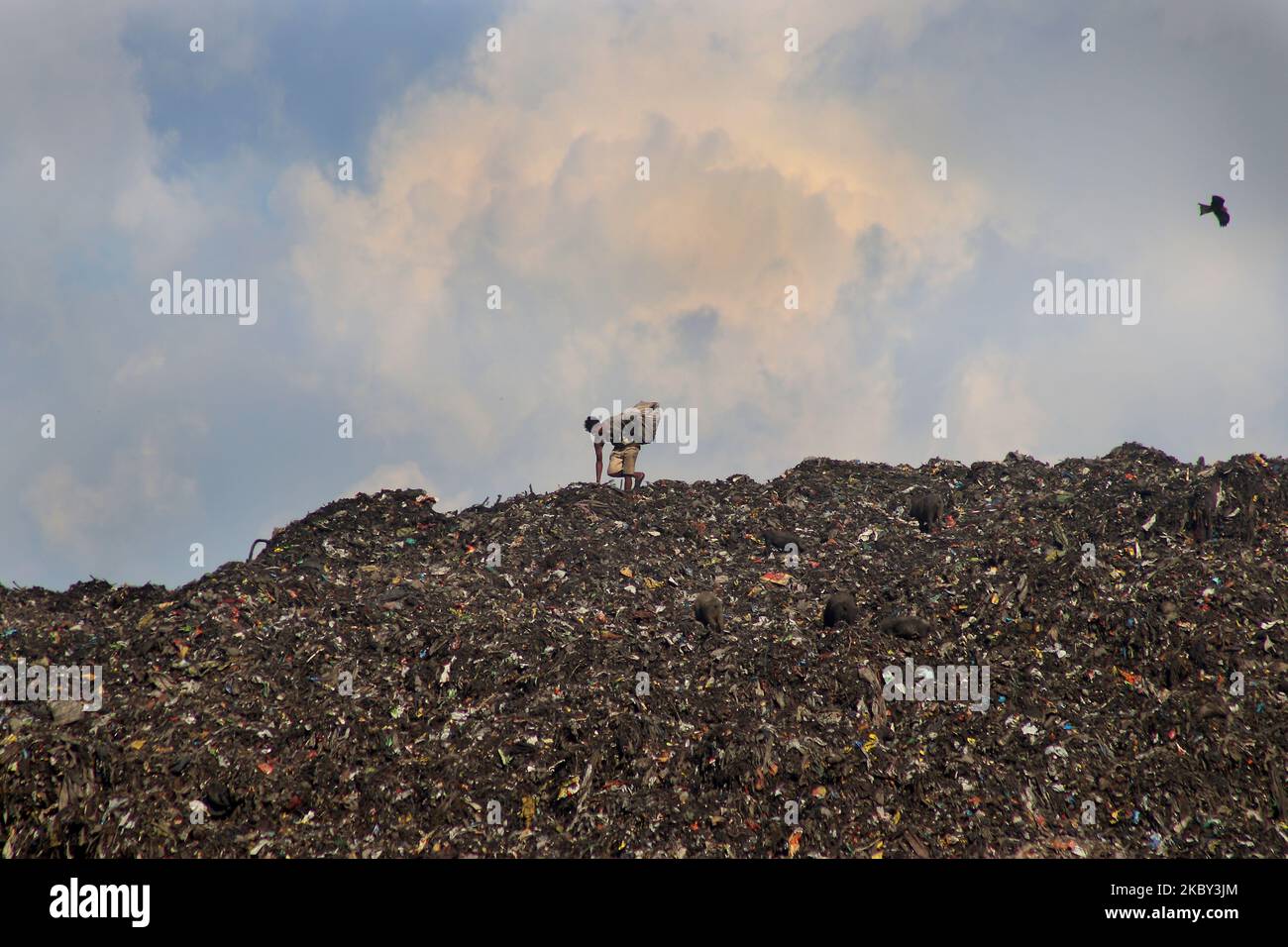 Indias worst performance hi-res stock photography and images - Alamy