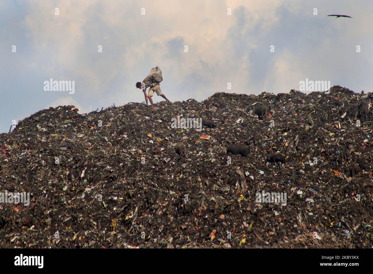 Indias worst performance hi-res stock photography and images - Alamy