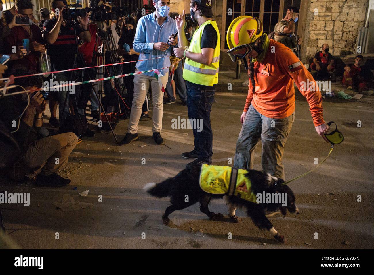 Special trained rescue dog hi-res stock photography and images - Alamy