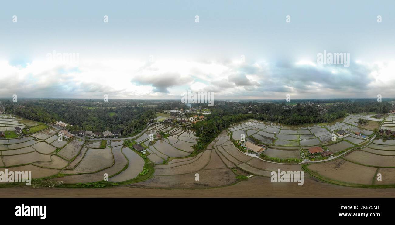 An aerial view of paddy fields in Bali, Indonesia Stock Photo - Alamy