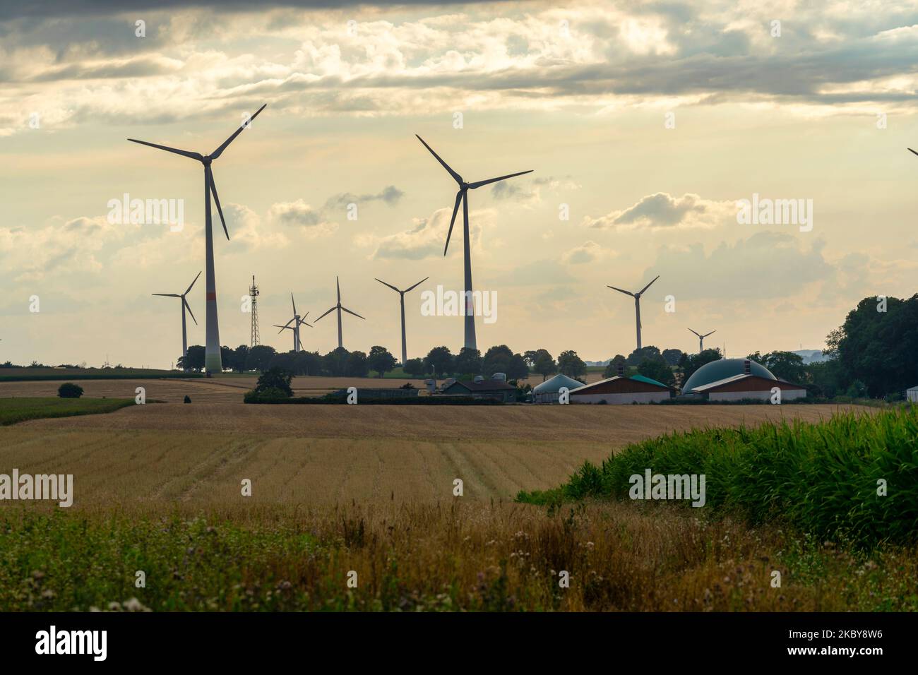 A beautiful shot of windmills in an agricultural field Stock Photo - Alamy