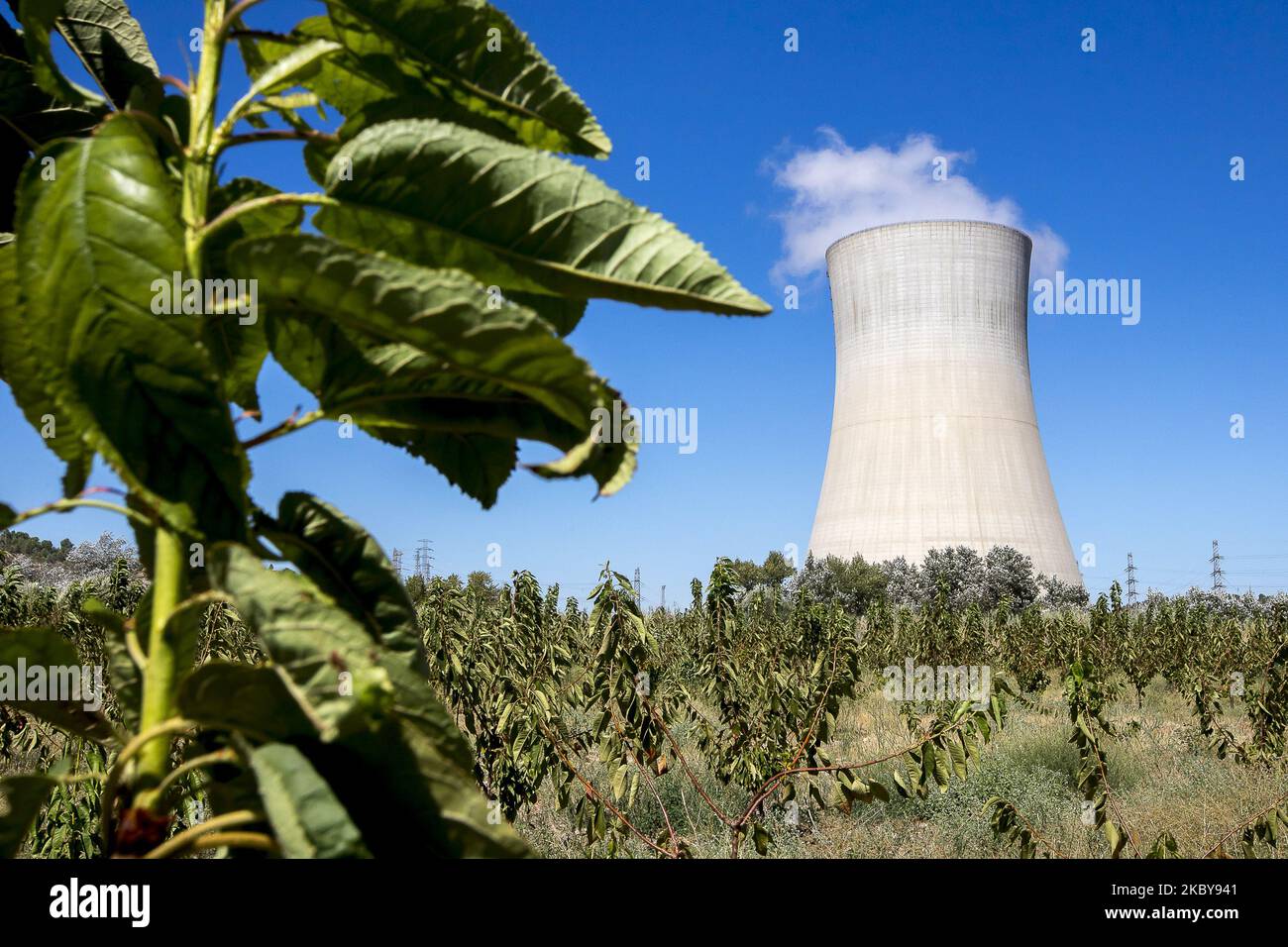 Images from the nuclear power plant in Ascó near Tarragona, Catalonia ...