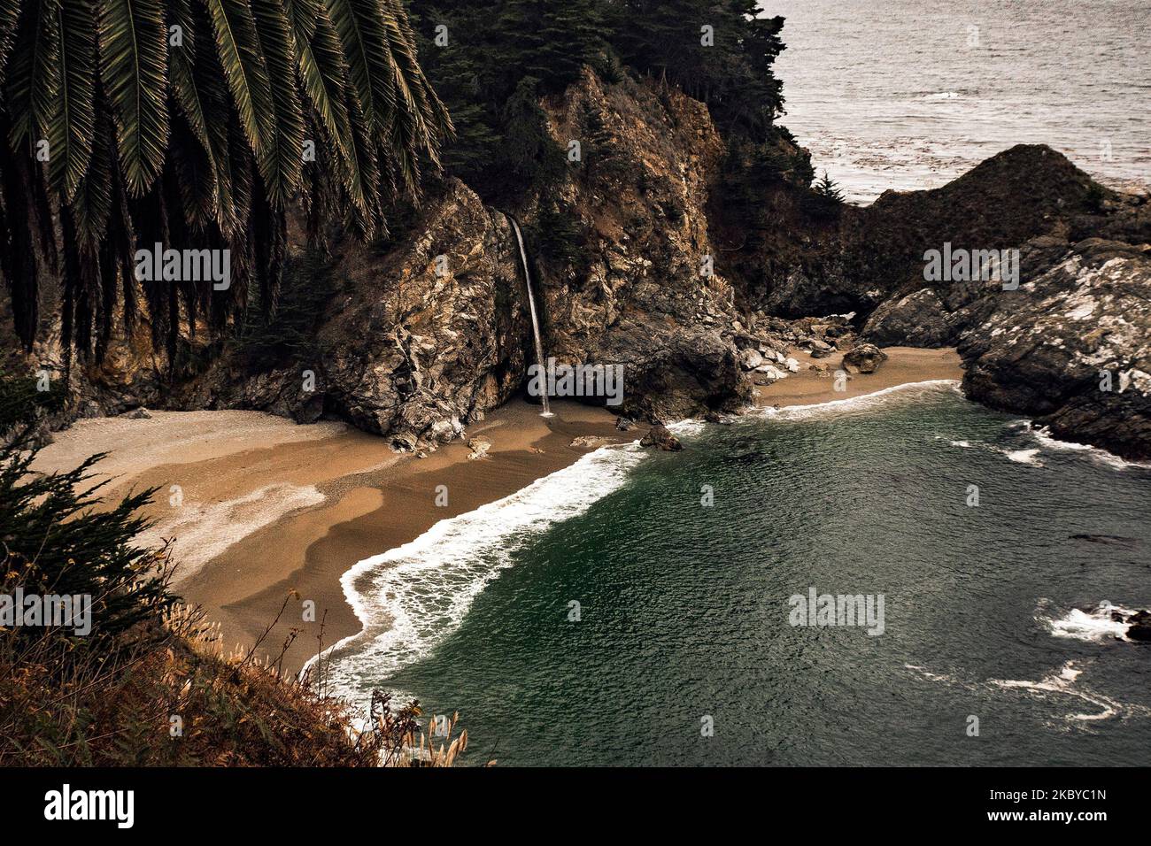 Birds covering hi-res stock photography and images - Alamy