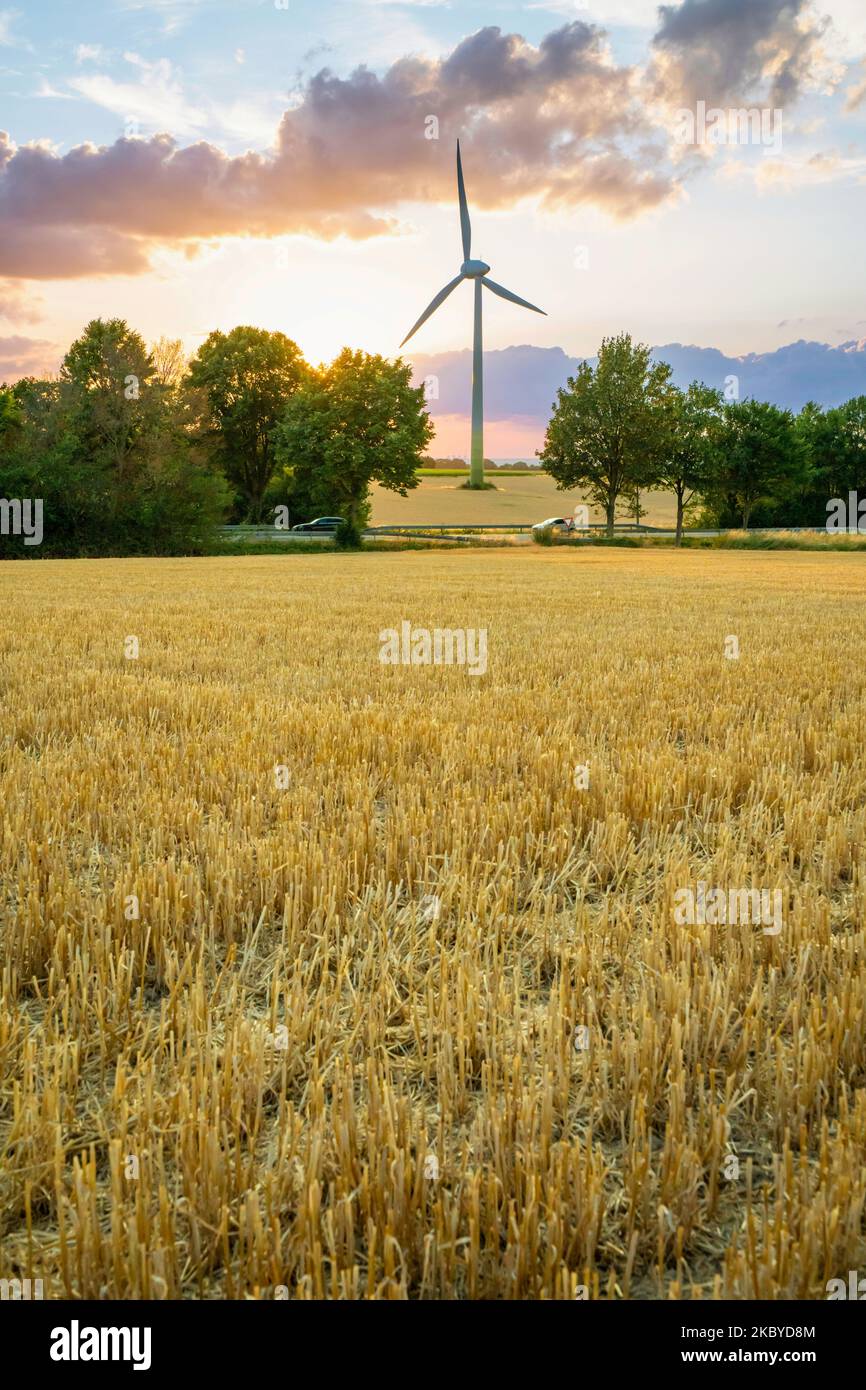 A vertical shot of a windmill in an agricultural field in the sunset ...