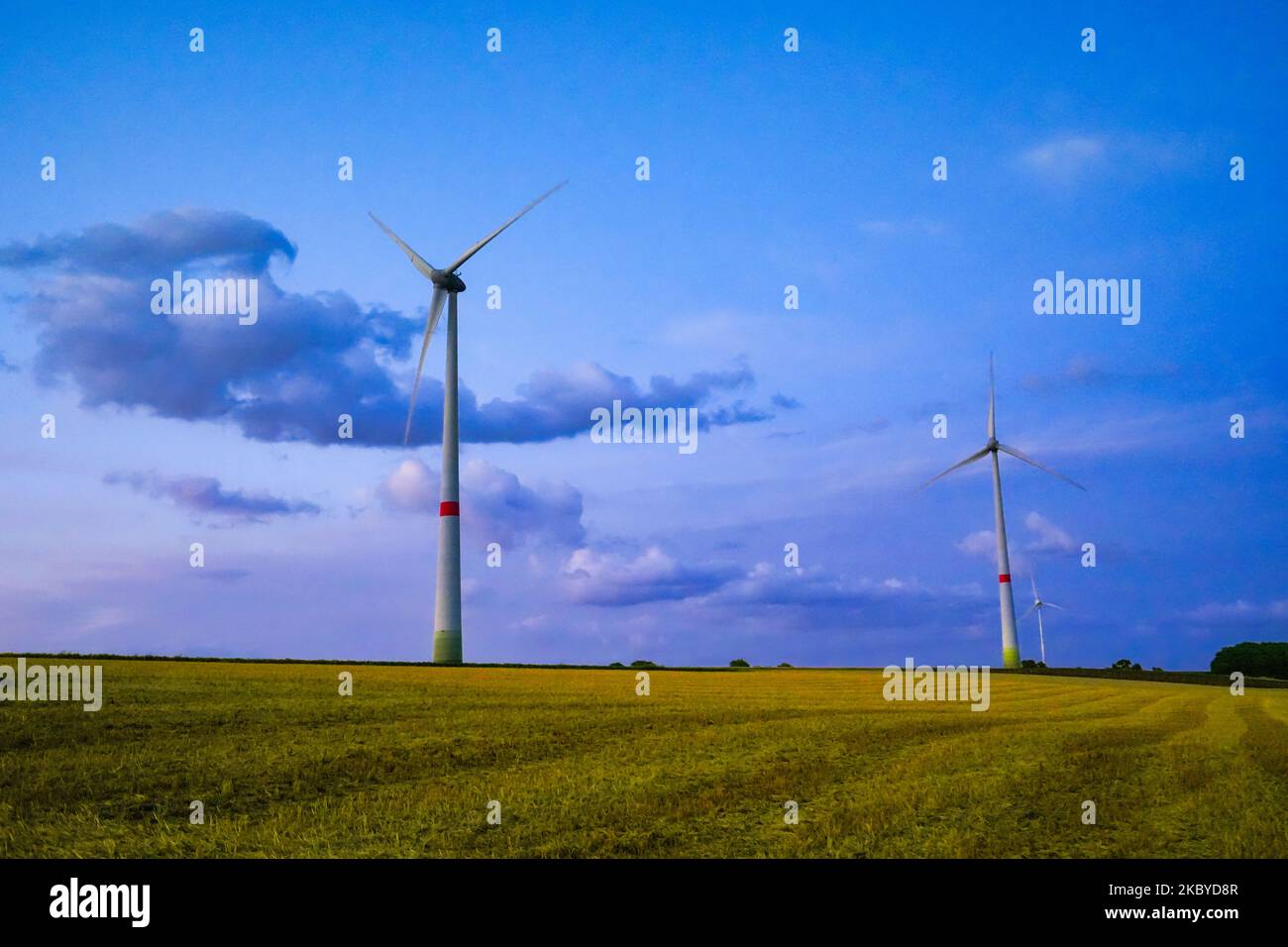 A beautiful shot of windmills in a field in the evening Stock Photo - Alamy