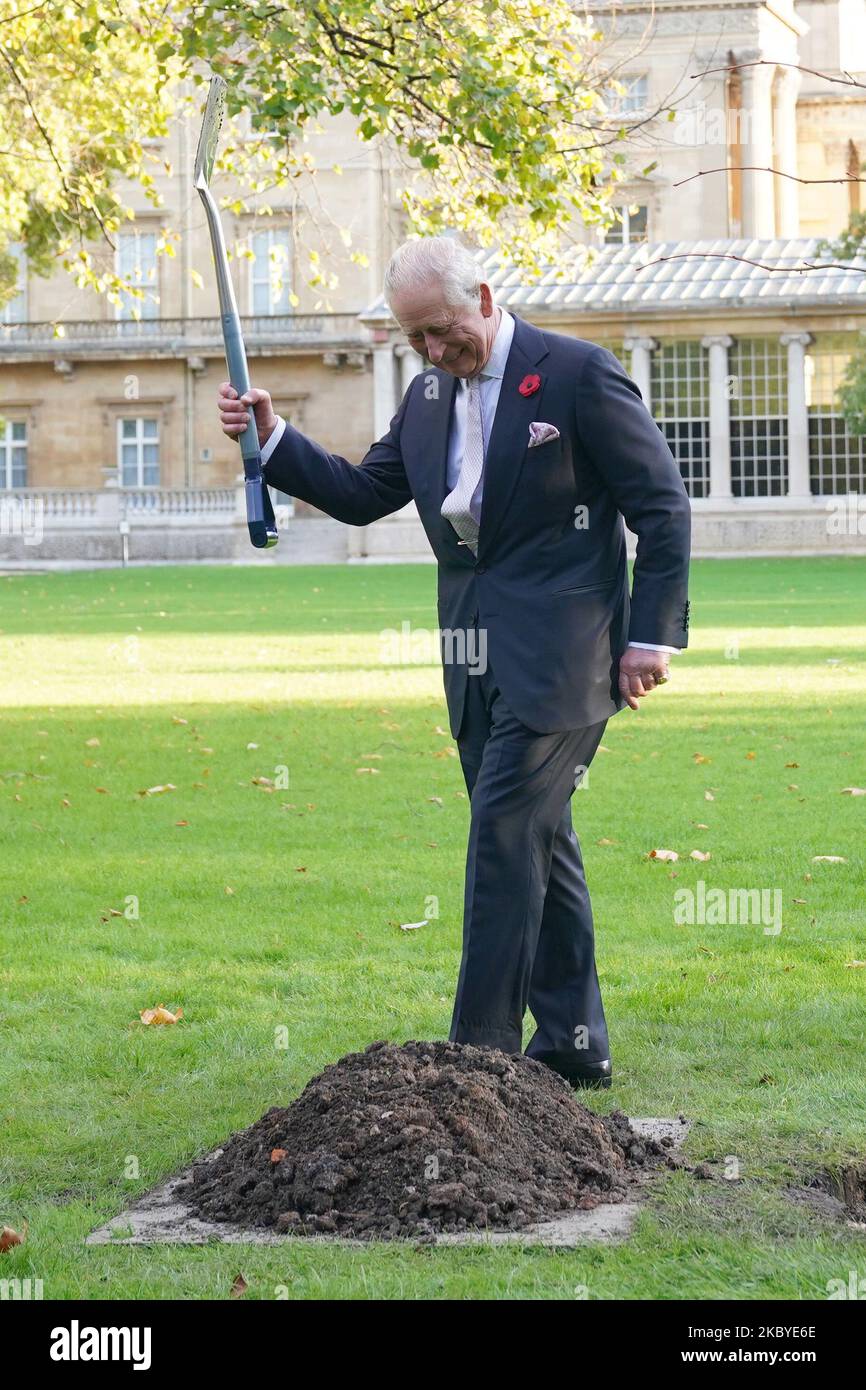 King Charles III planting a lime tree near the Tea House in the Buckingham Palace garden, after ...