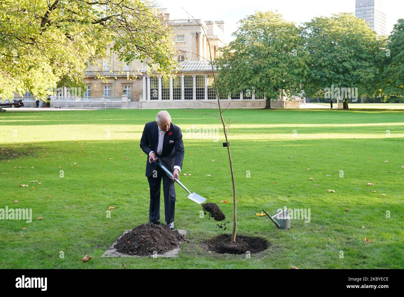 King Charles III planting a lime tree near the Tea House in the Buckingham Palace garden, after ...