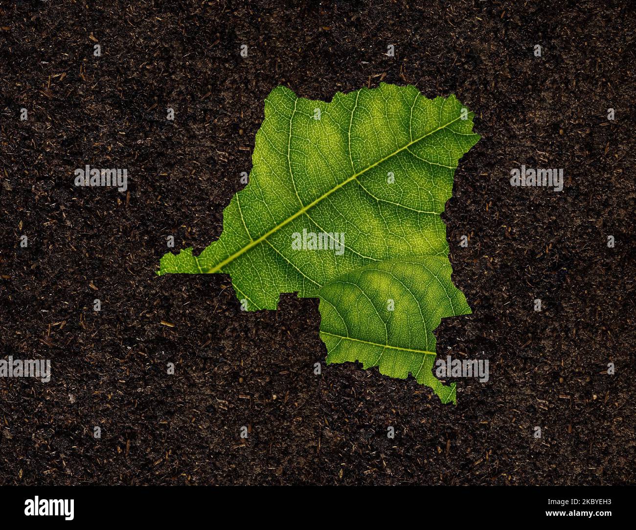 A 3d rendering of a Congo map made of green leaves on a soil background ...