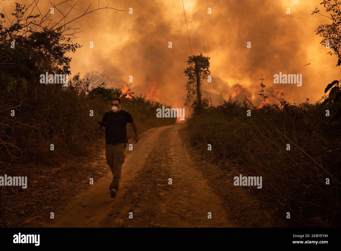 Man flee of out of control forest fire burns the area of the Brazilian ...