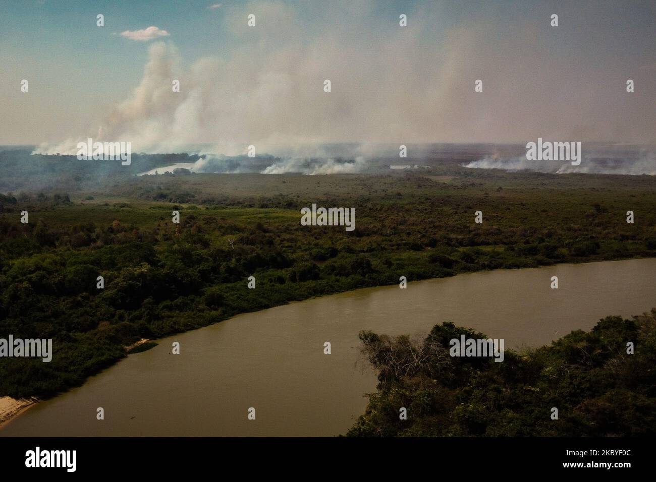 Out of control forest fire burns the area of the Brazilian Pantanal in ...