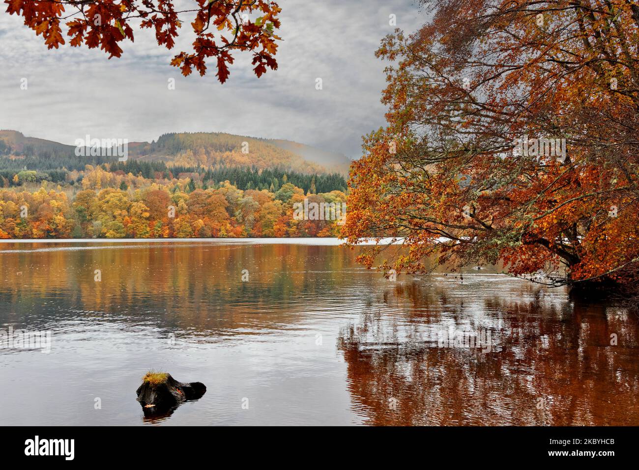 Pitlochry Perthshire Scotland autumnal tree colours over Loch Faskally ...