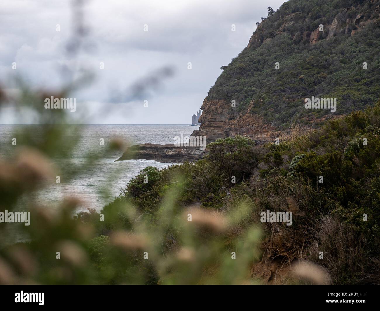 A beautiful view of the cliff Tasmania remarkable cave with plants by ...
