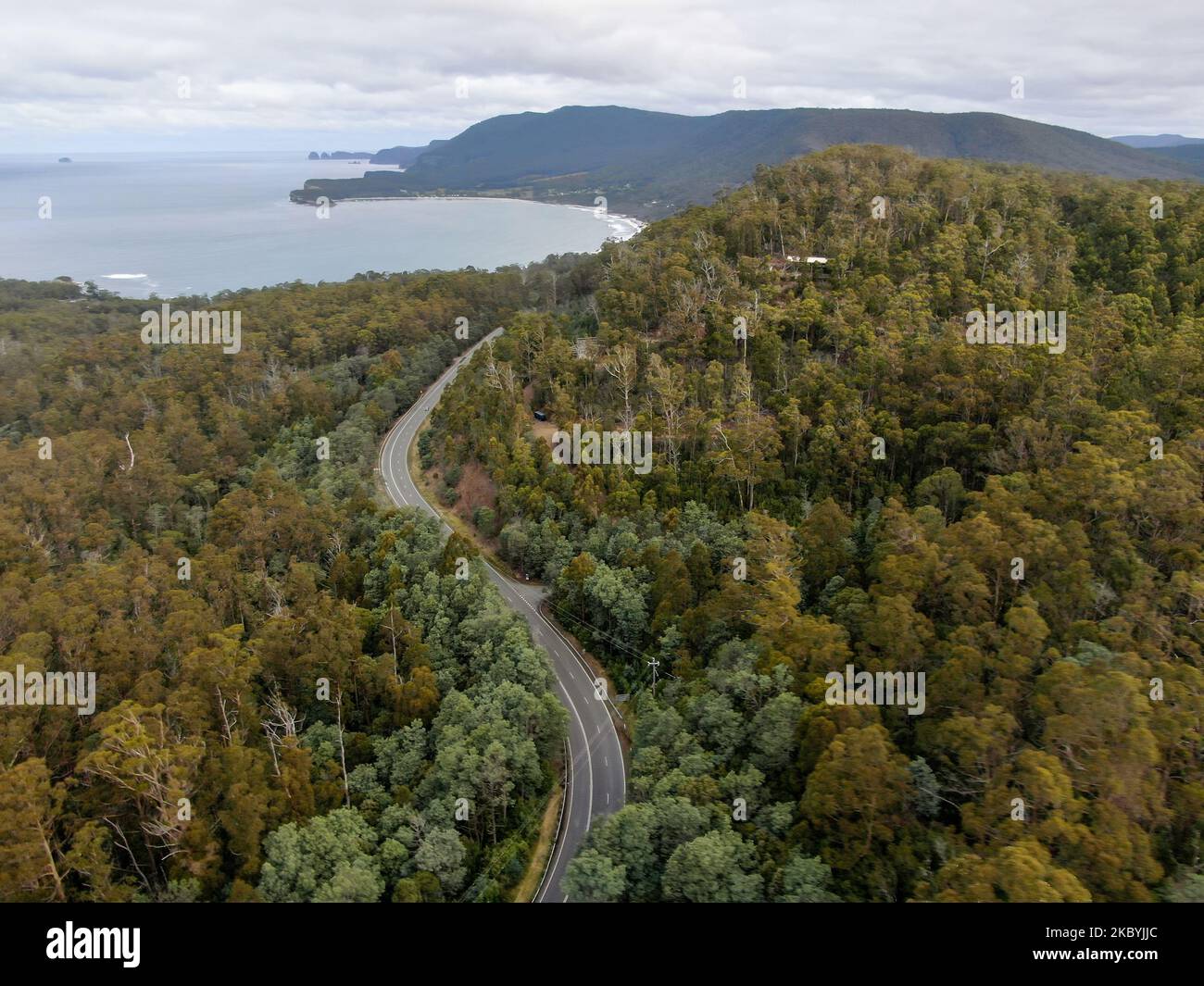 An aerial view of a highway road between forest trees in Tasmania ...