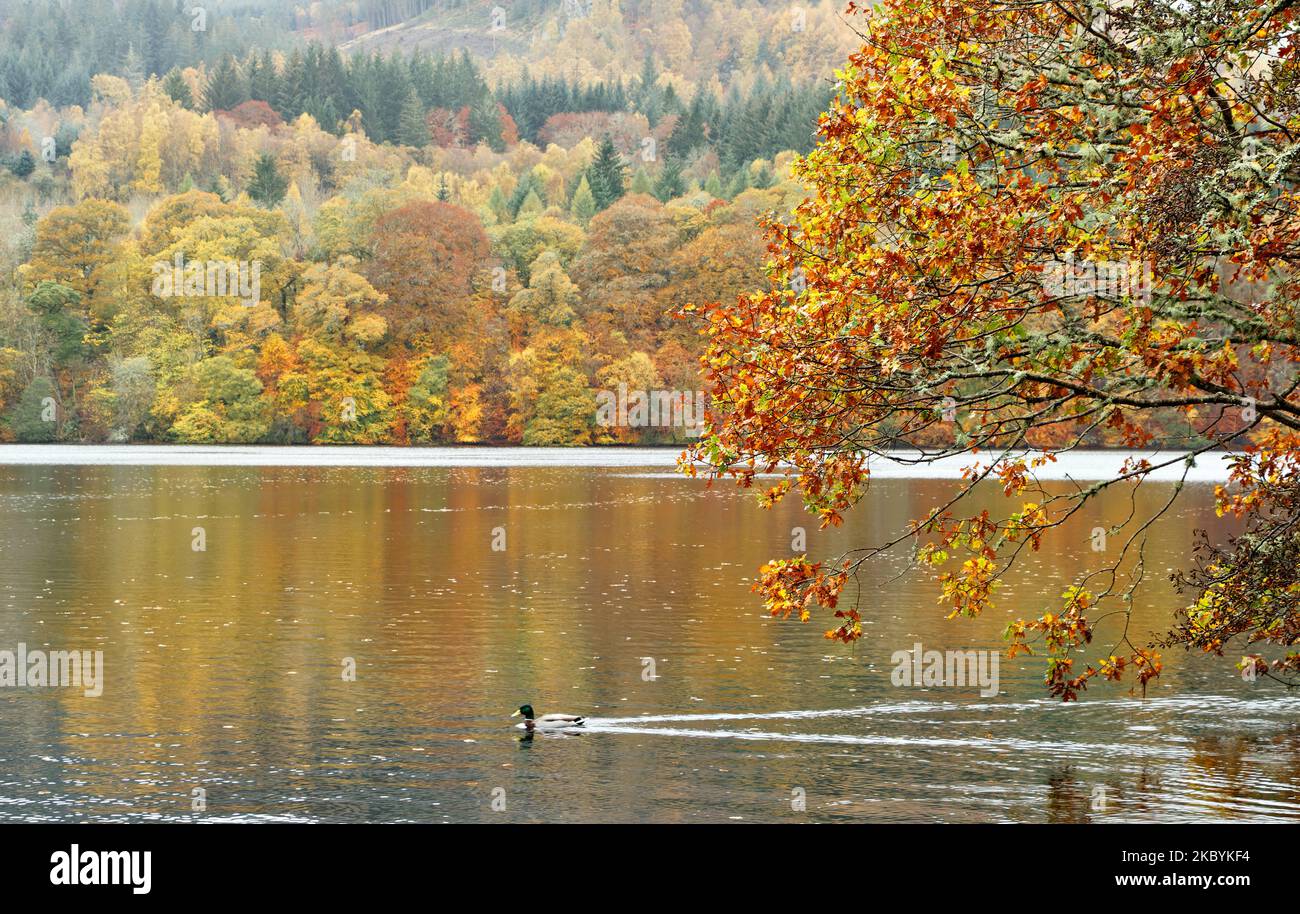 Pitlochry Perthshire Scotland looking across Loch Faskally with the ...