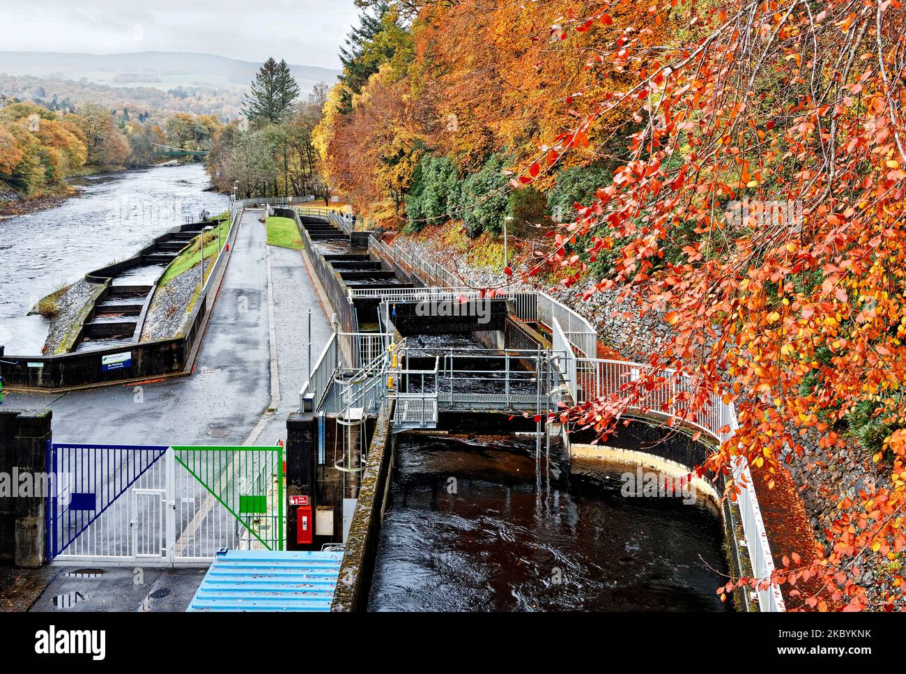 Pitlochry Perthshire Scotland looking down the river Tummel salmon fish ...