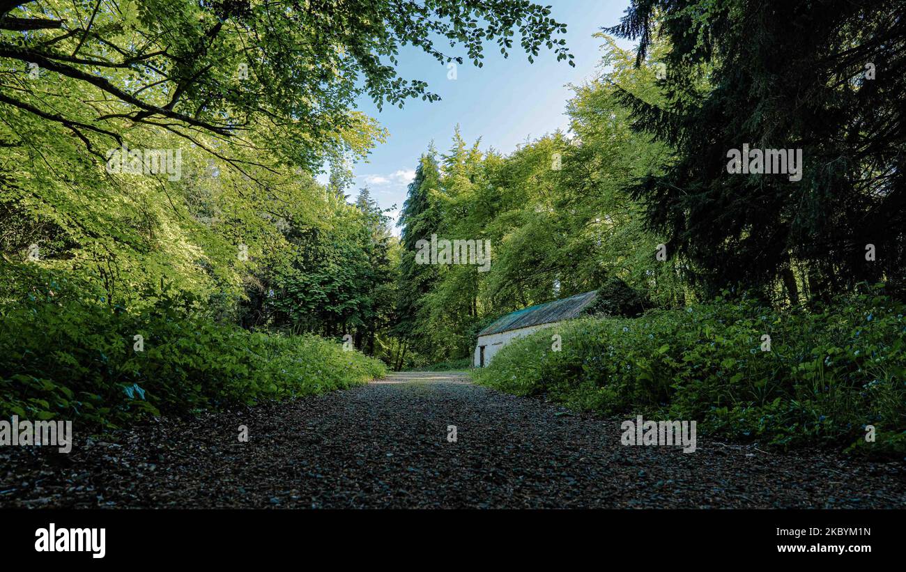 The togher hi-res stock photography and images - Alamy