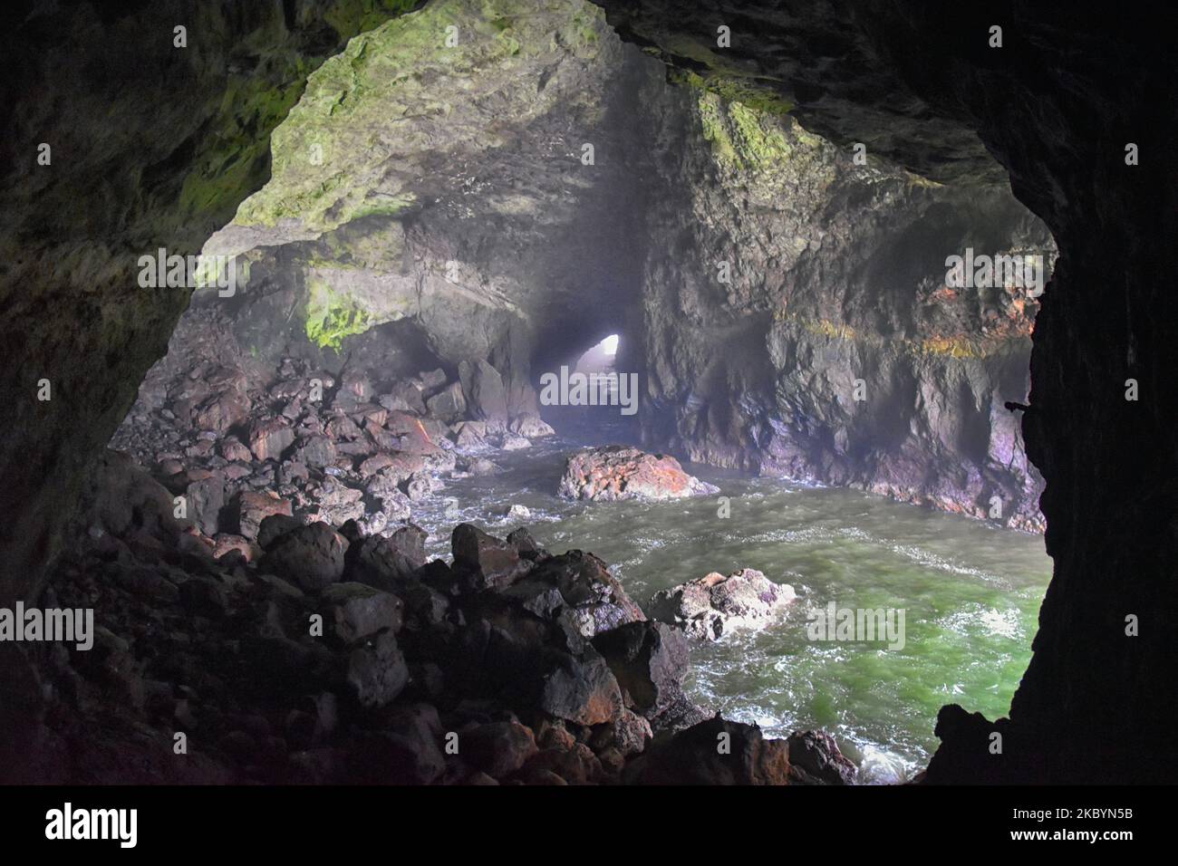 Sea Lion Cave views, tourist attraction, Pacific Ocean Coast Florence ...
