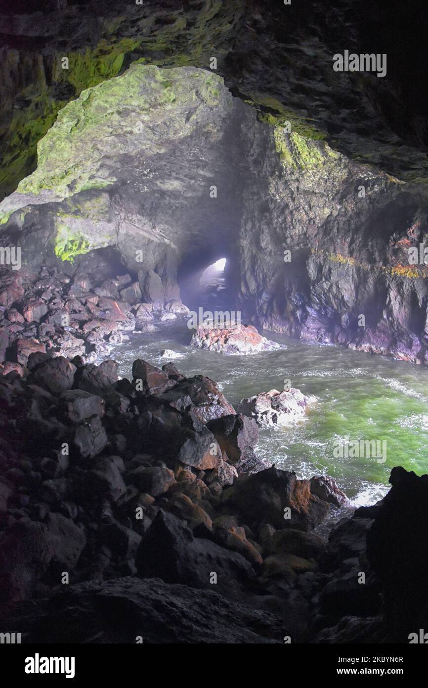 Sea Lion Cave views, tourist attraction, Pacific Ocean Coast Florence ...
