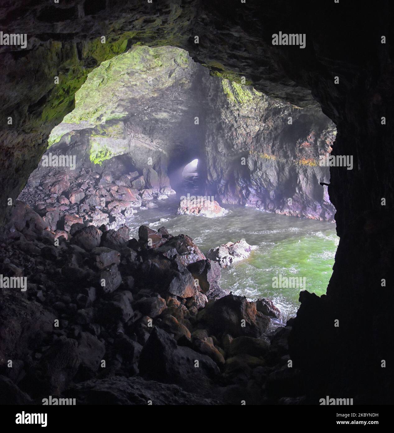 Oregon coast sea lion caves hi-res stock photography and images - Alamy