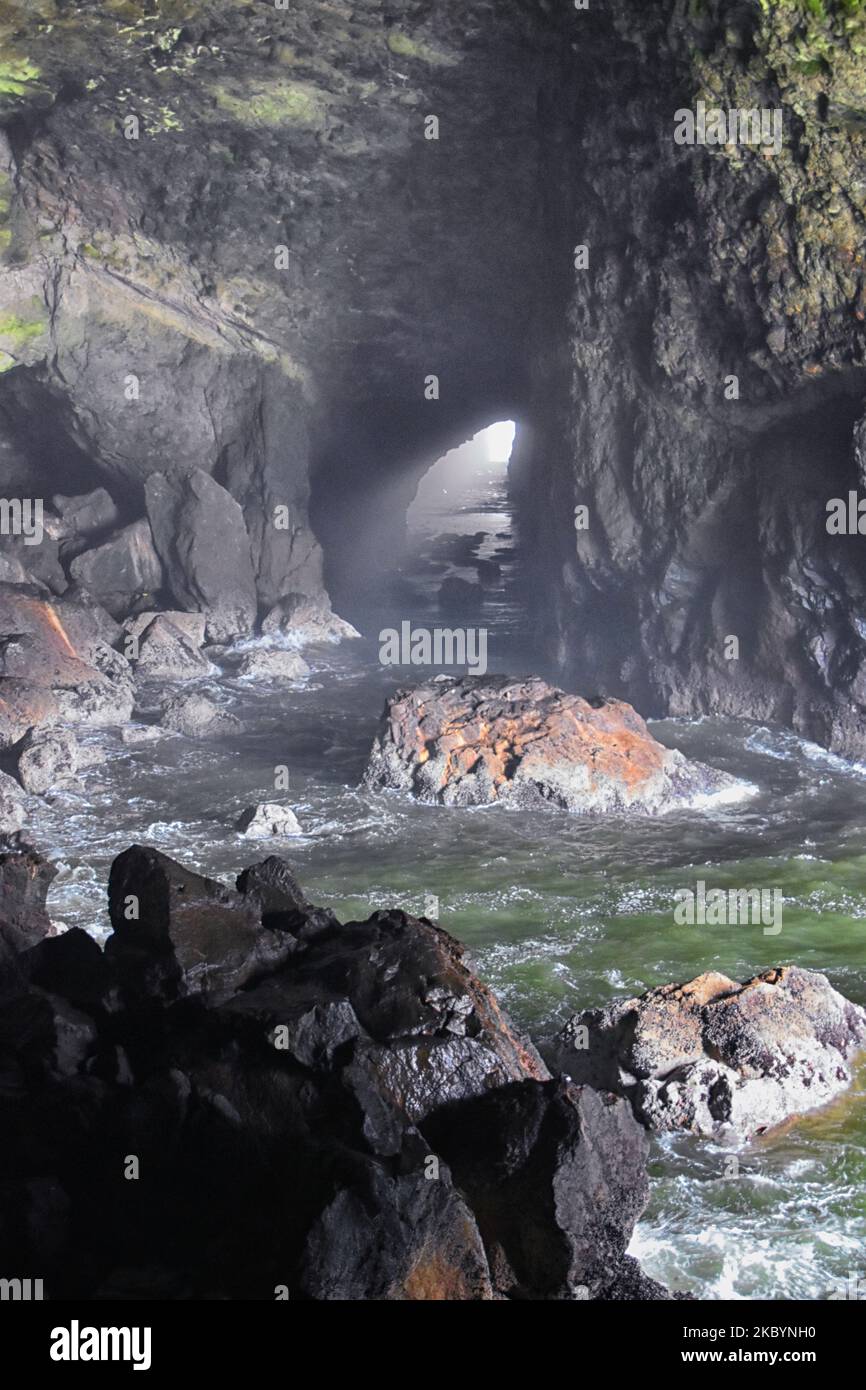 Sea Lion Cave views, tourist attraction, Pacific Ocean Coast Florence ...