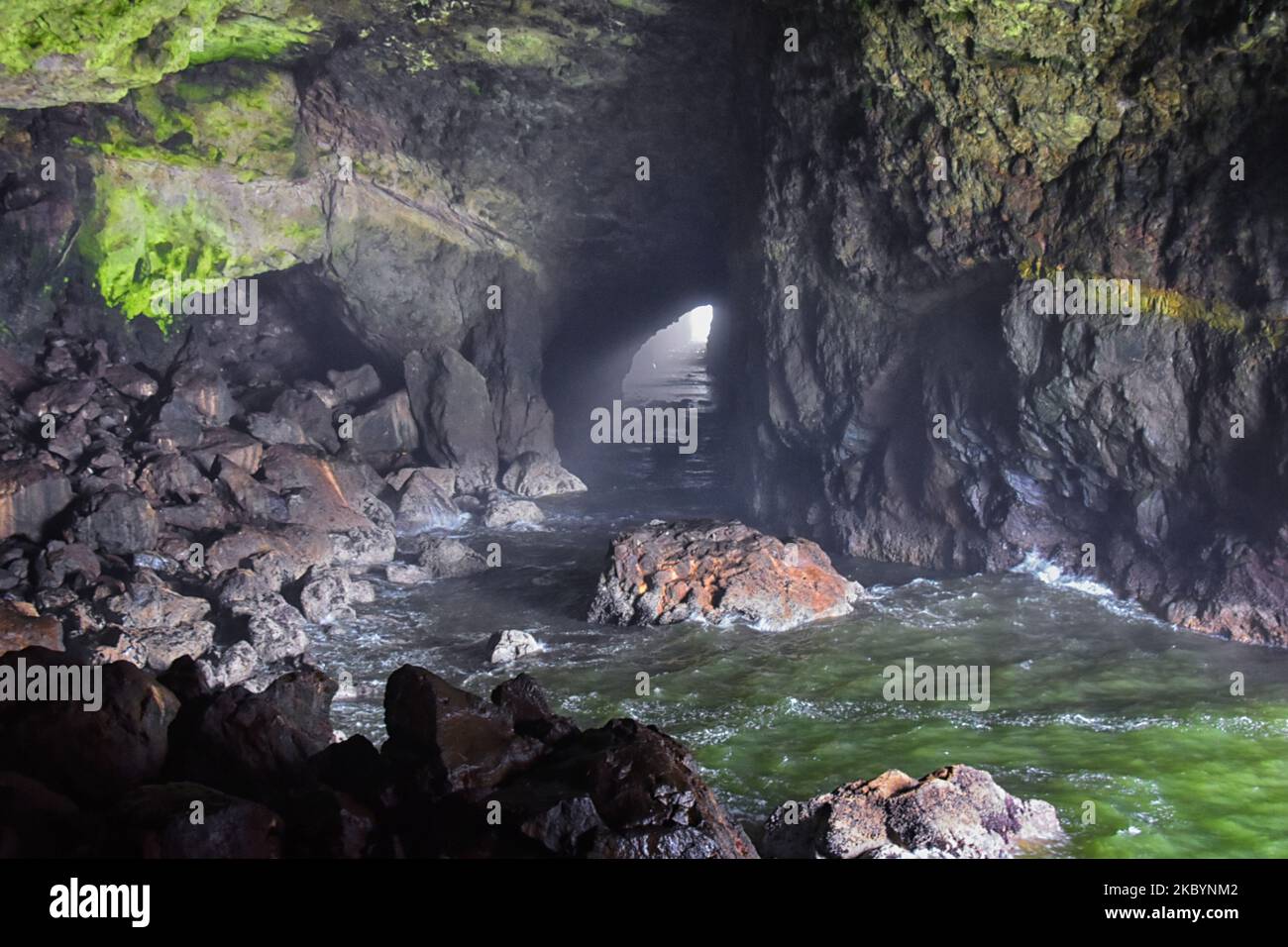 Sea Lion Cave views, tourist attraction, Pacific Ocean Coast Florence ...